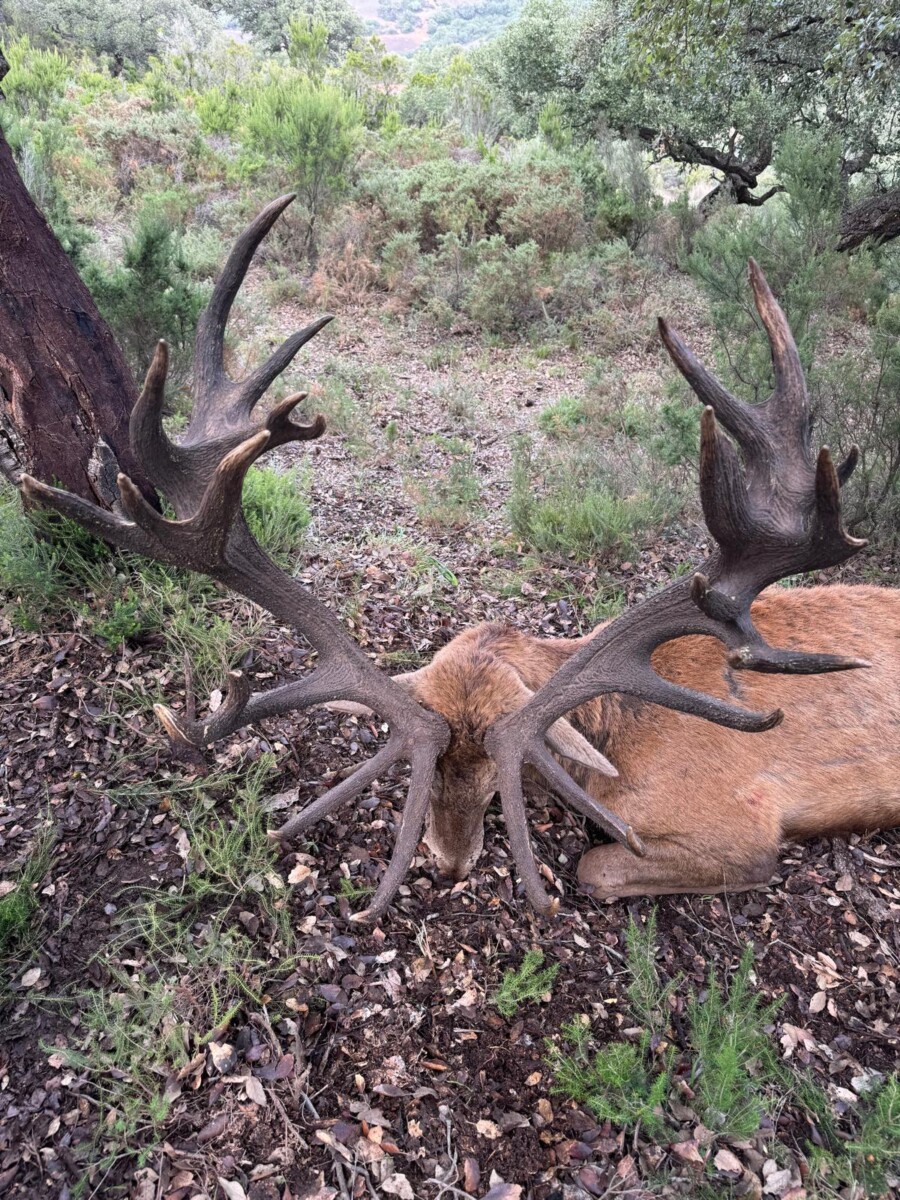 A once in a lifetime trophy - Masara Hunting